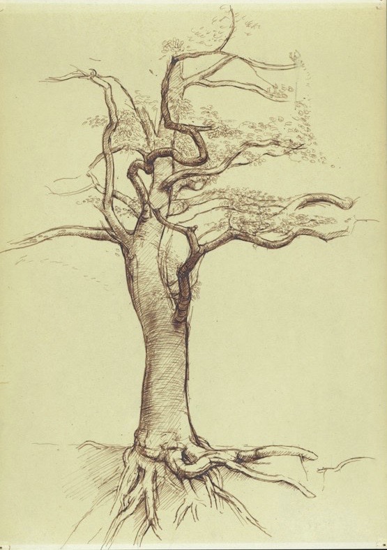Drawings – Gordon Hulson RBA